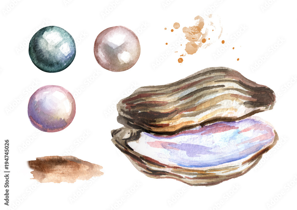 Pearls and shell set Stock Illustration | Adobe Stock