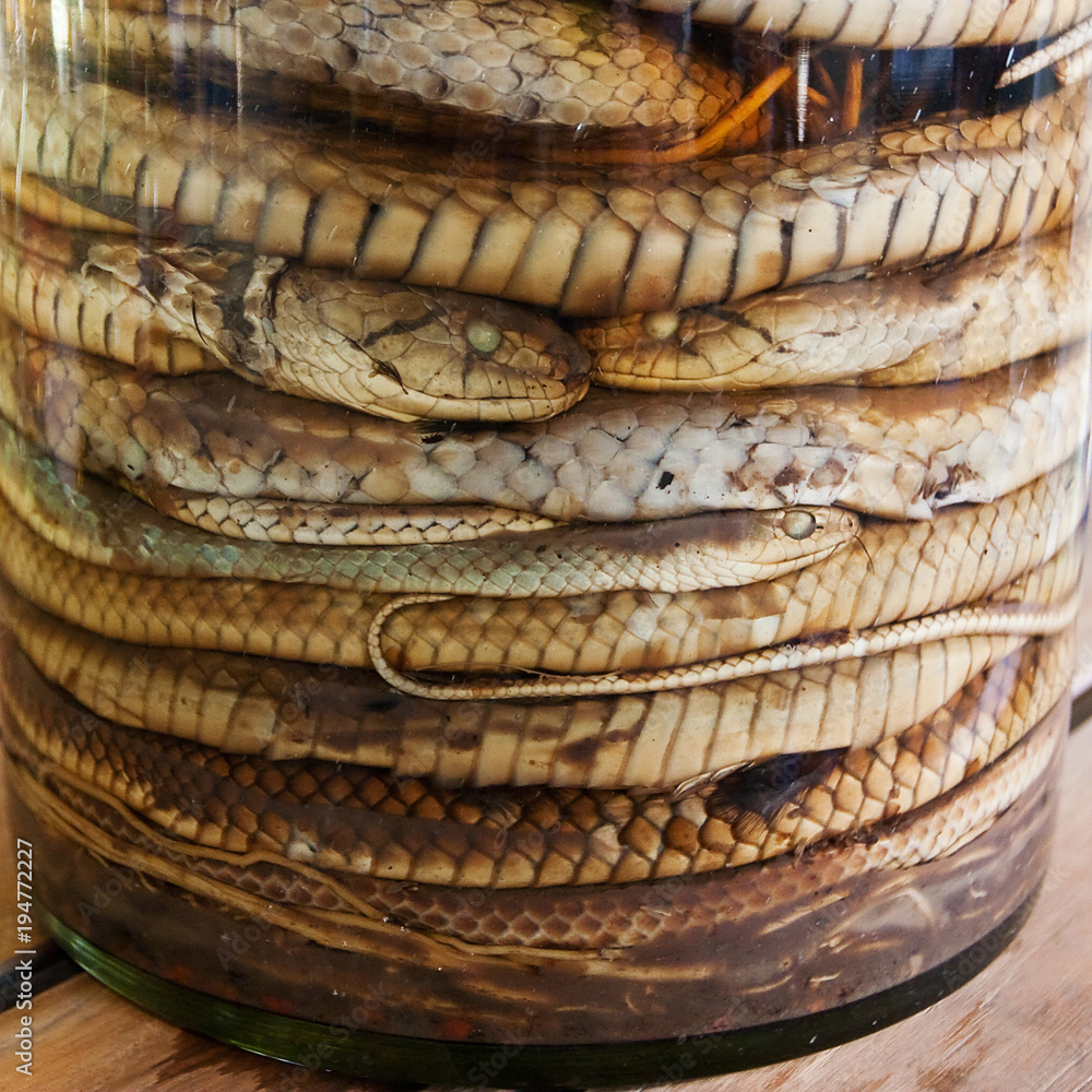 Pickled snake in a jar. the traditional cuisine of Vietnam. the snake's ...