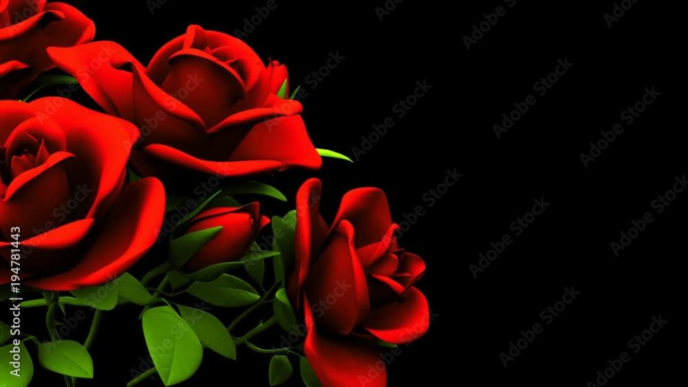 Red Roses Bouquet On Black Text Space. Loop able 3DCG render Animation ...