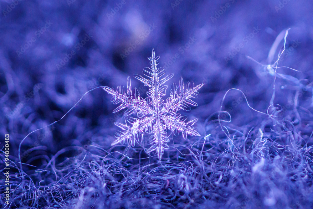 Beautiful detail of a snowflake, a single ice crystal in Paris winter ...