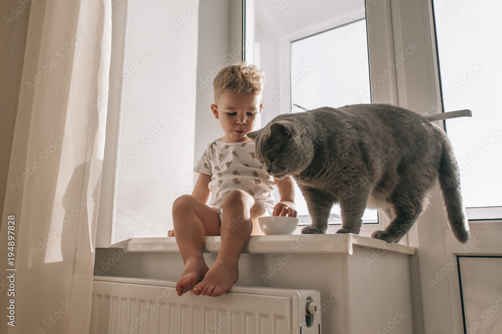 Kid and his pet cat Stock Photo | Adobe Stock