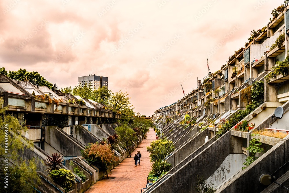 Red hour wall mural wallpaper | Muraledesign.com