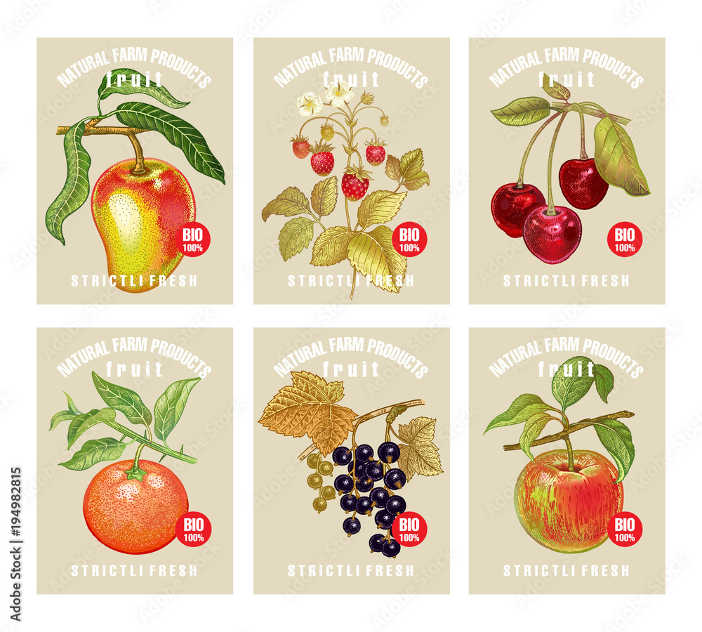 Price tags for berries and fruits. Stock Vector | Adobe Stock