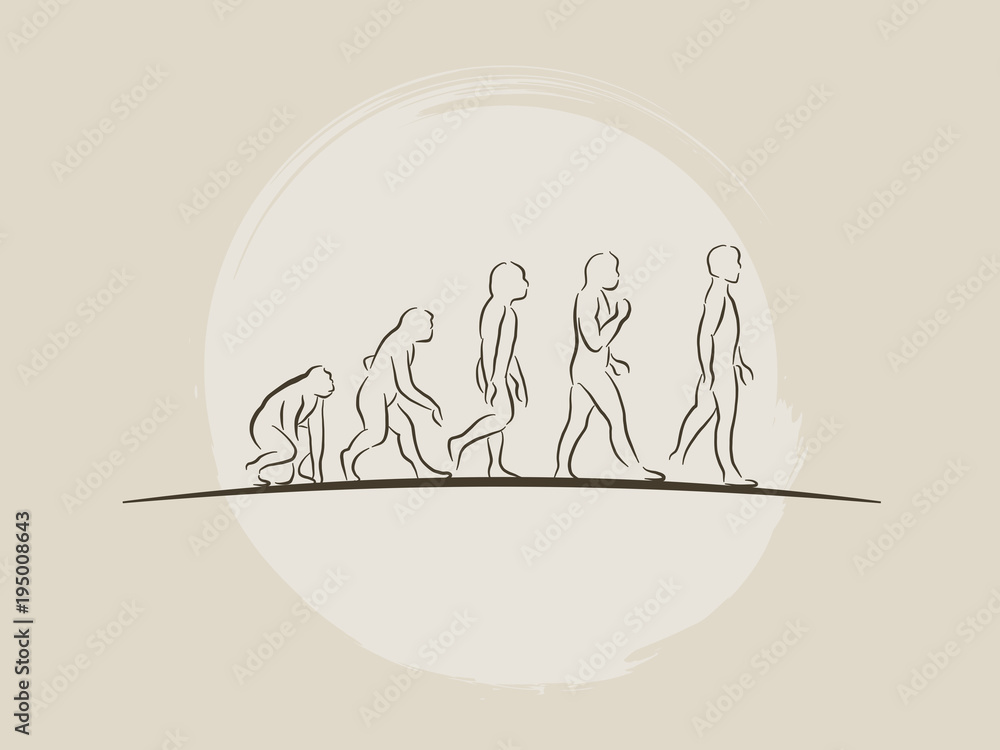 Theory of evolution of man - Human development - Hand drawn sketch ...