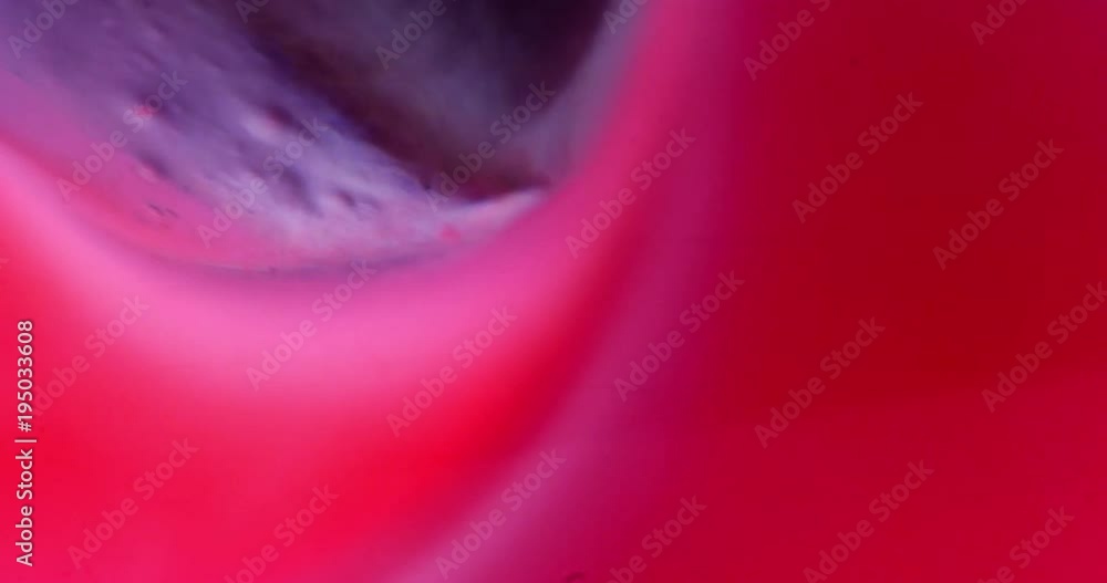 Extreme macro of bubbles in blue jello cream (gel). 4k. Stock Video ...