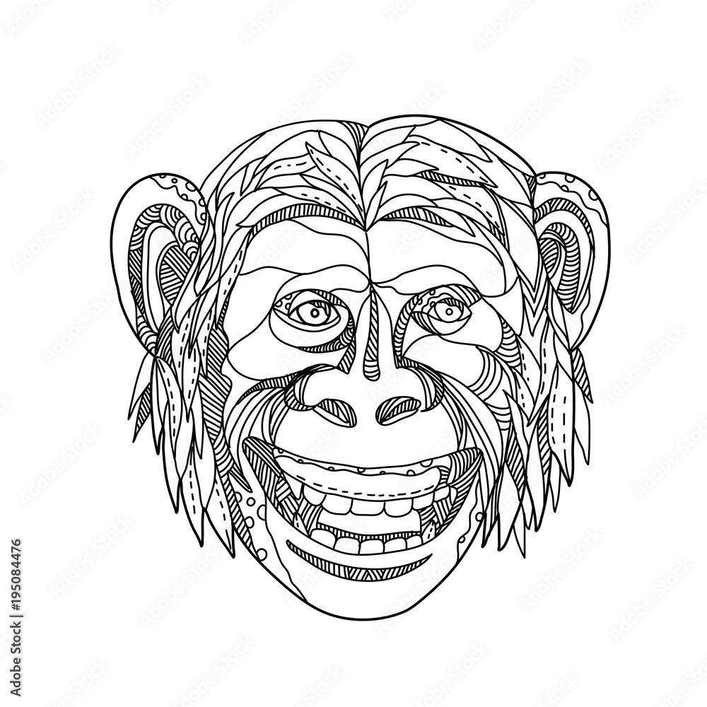 Neanderthal Face Drawing