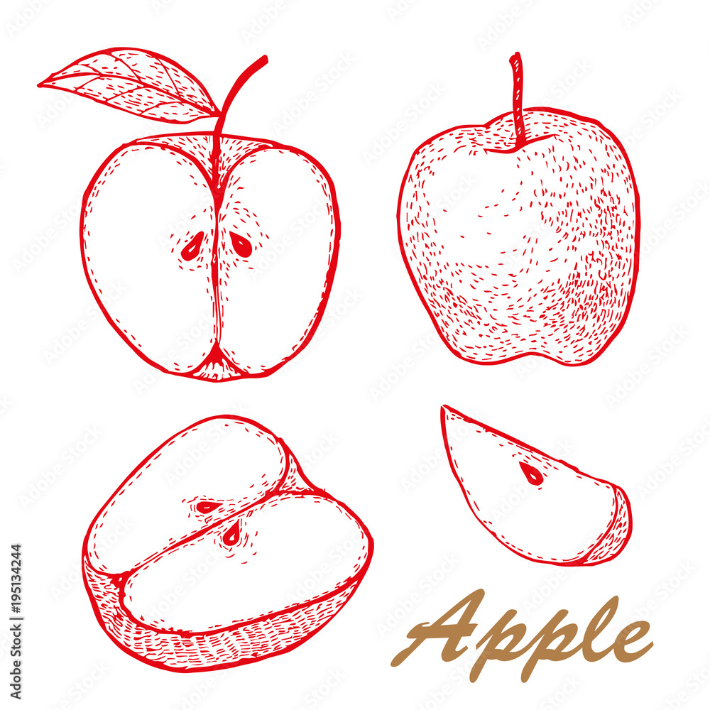 Set of hand drawn apple. Hand drawn sketch style eco food vector ...