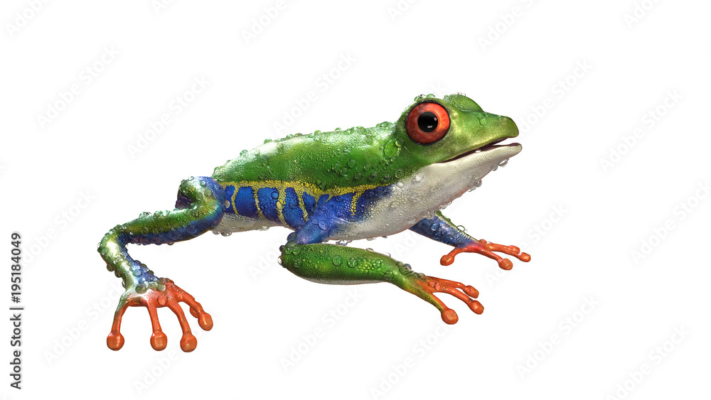 3d Illustration Red-Eyed Amazon Tree Frog (Agalychnis Callidryas),A ...