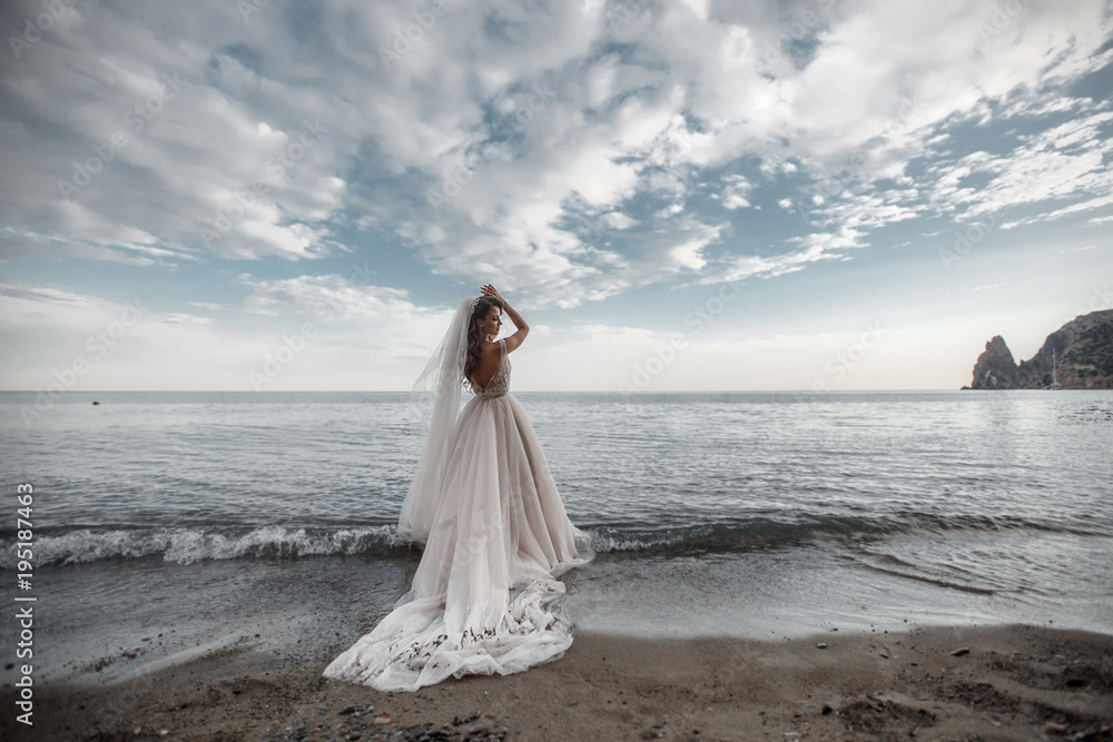 Beautiful bride stands on a cliff above the sea in a glamorous white ...