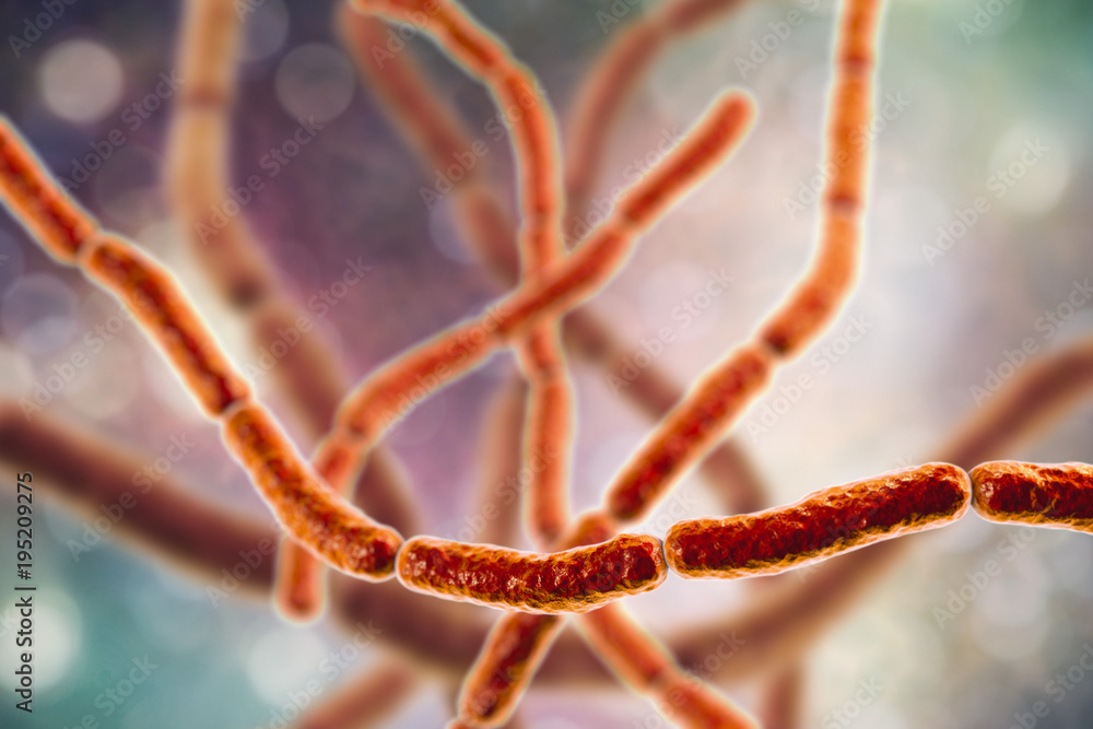 Streptobacillus moniliformis bacteria, 3D illustration, Gram-negative ...