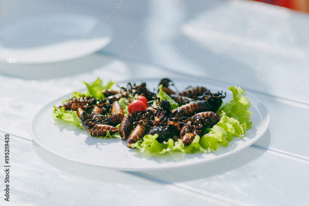 Fried Cockroach Recipe