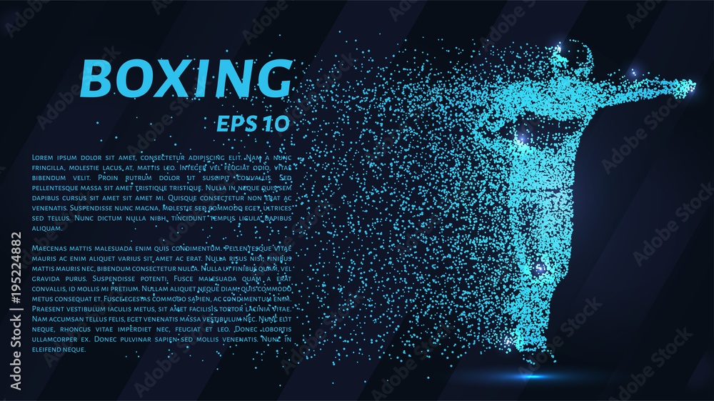 The box consists of the particles. Boxer consists of dots and circles ...