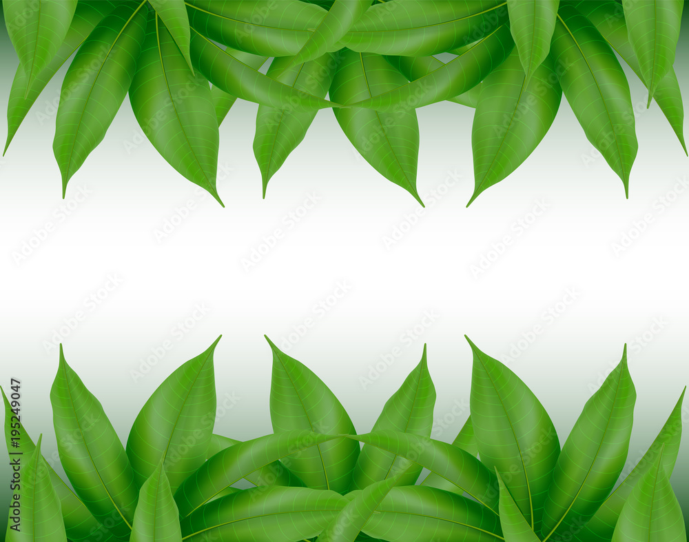 Mango leaves background for banner, celebration, holiday, packaging ...