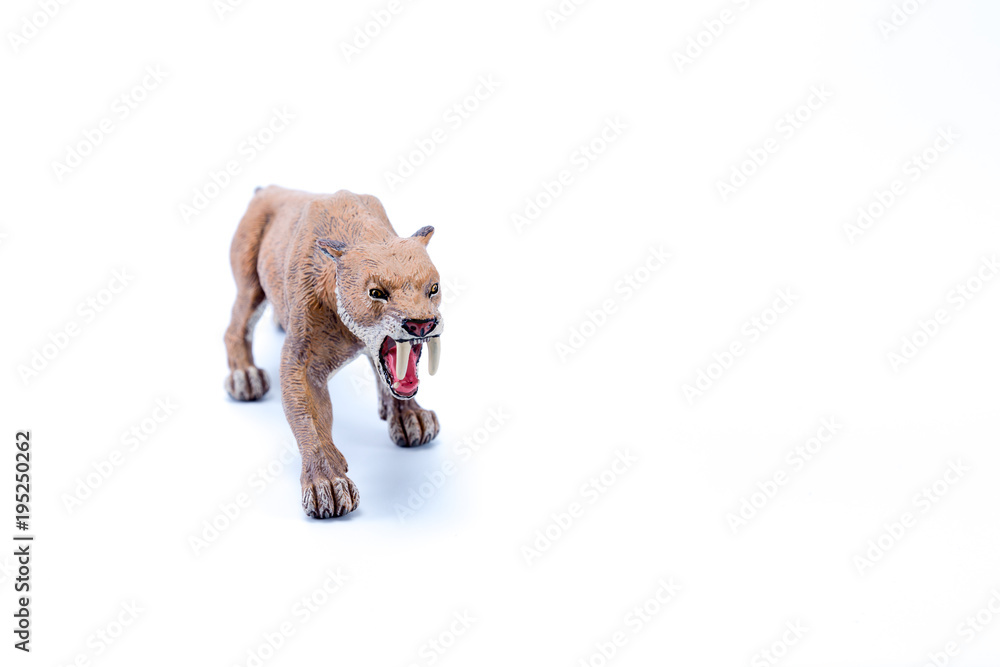 Toy female Smilodon saber-toothed roaring and in attack position with ...