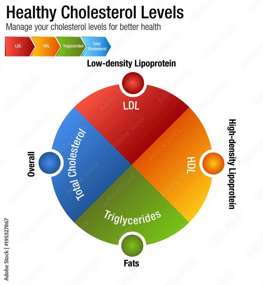 Total Blood Cholesterol HDL LDL Triglycerides Chart Stock Vector ...