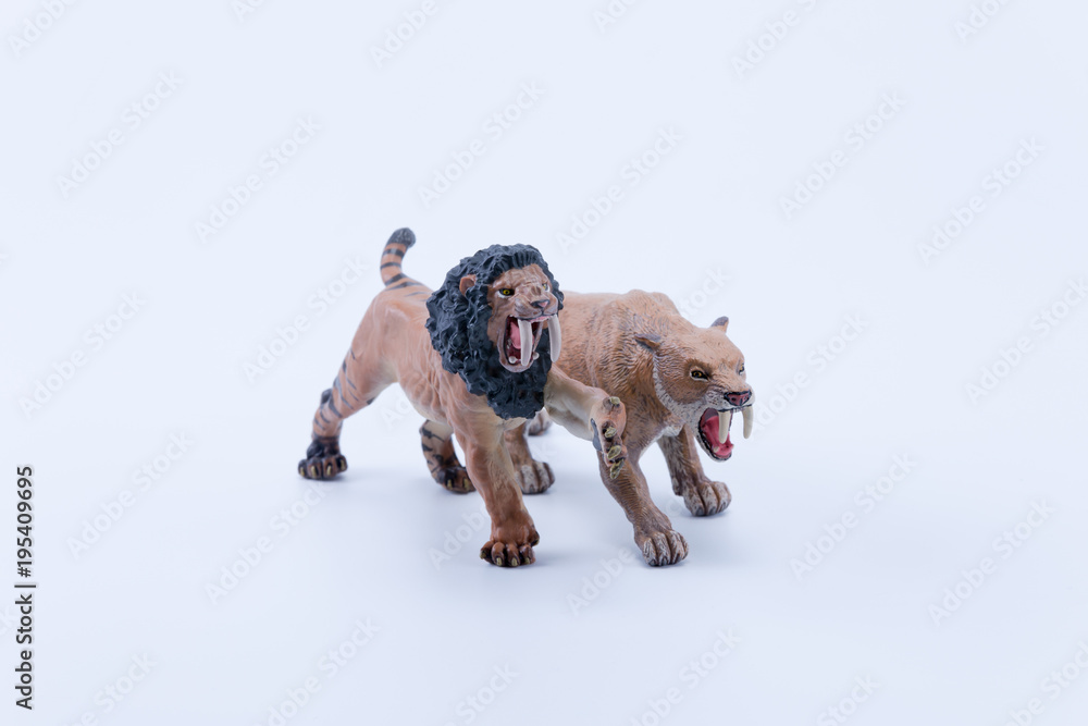 Toy two Smilodon saber-toothed roaring and in attack position fighting ...
