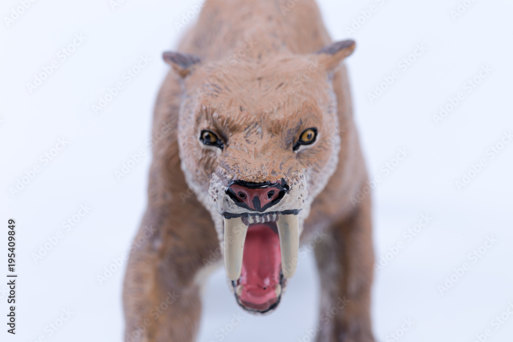 Smilodon Face