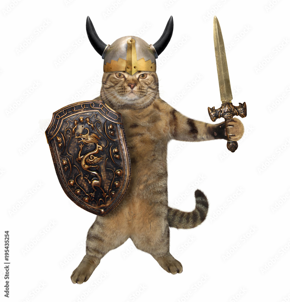 The cat in a viking helmet holds a sword and a shield. White background ...