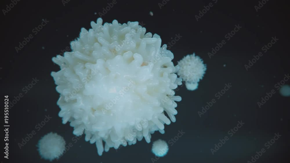 Lymphocyte (Leukocyte). Medically accurate 3D representation of an ...