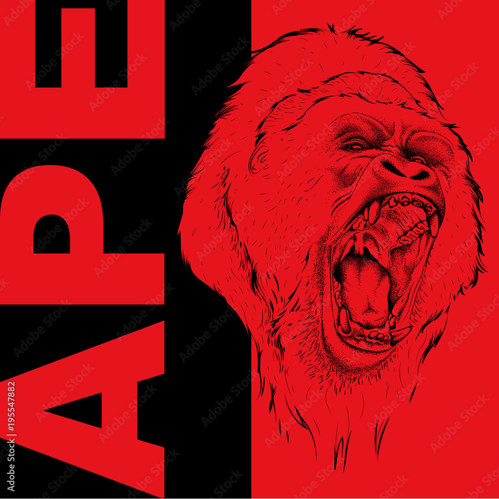Drawing of a Ape's head. alpha of a pack of gorillas. Aggressive monkey ...