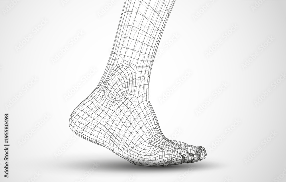 3d illustration of a vector of human feet walking along Stock ...
