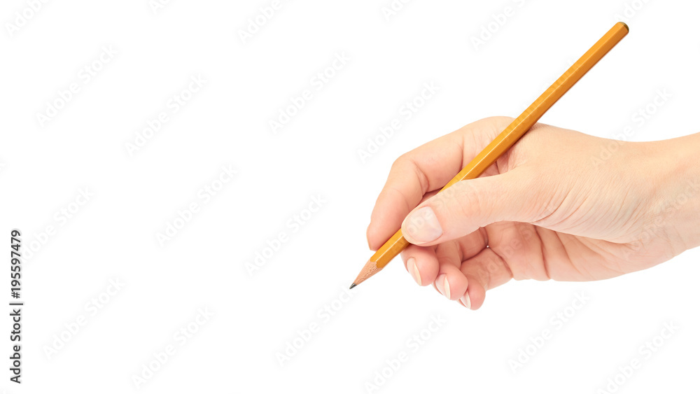 Female hands hold a pencil. Isolated on white background. copy space ...
