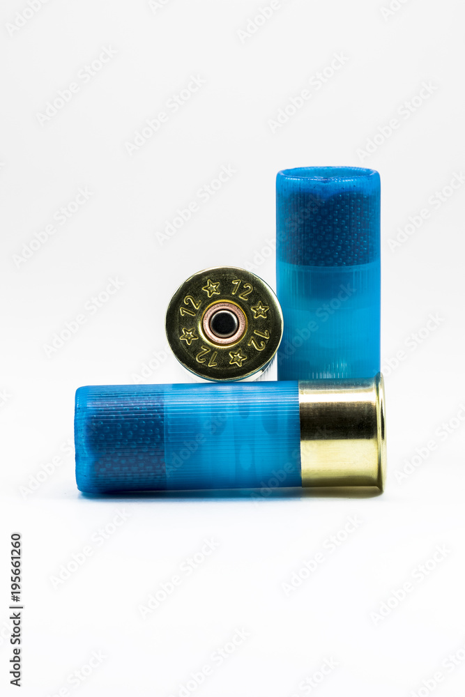 Hunting Shotgun Shell