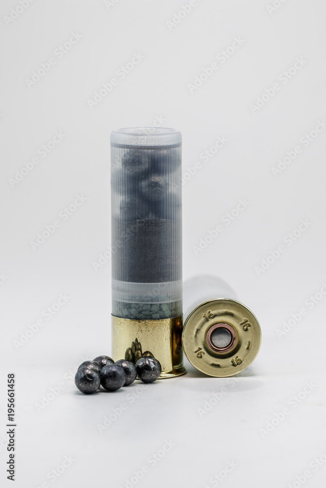 Spent Shotgun Shells