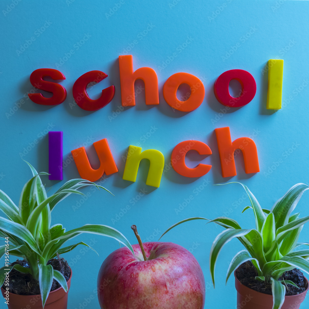 School lunch text written in magnetic letters on a blue magnetic board ...