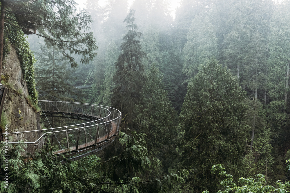 Skywalk Stock Photo | Adobe Stock