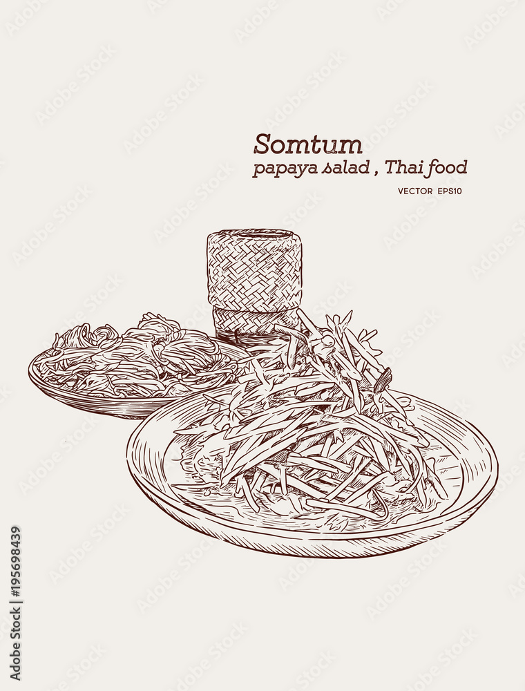 som-tum set, rice noodle and sticky rice . hand drawn sketch vector ...