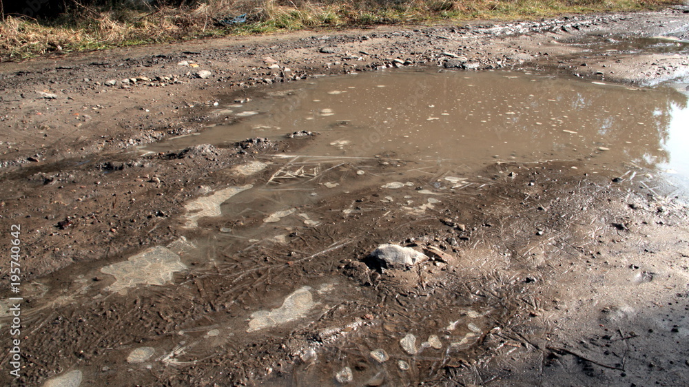 Small Puddle Of Water