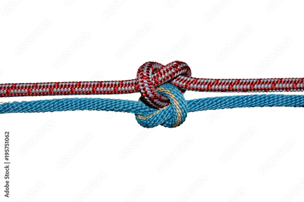 True Love Knot Stock Photo | Adobe Stock