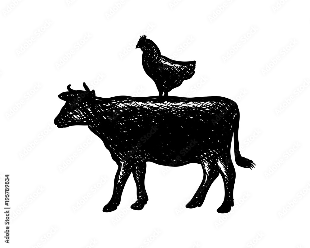 Old Chicken and Cow Animal Sign Symbol Livestock Logo Silhouette Vector ...