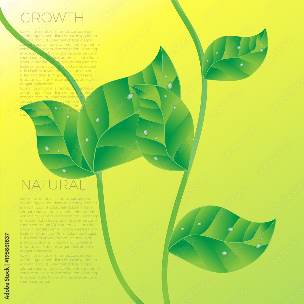 Vector Poster with Semi Realistic Green Leaf and stem, Leaves and ...