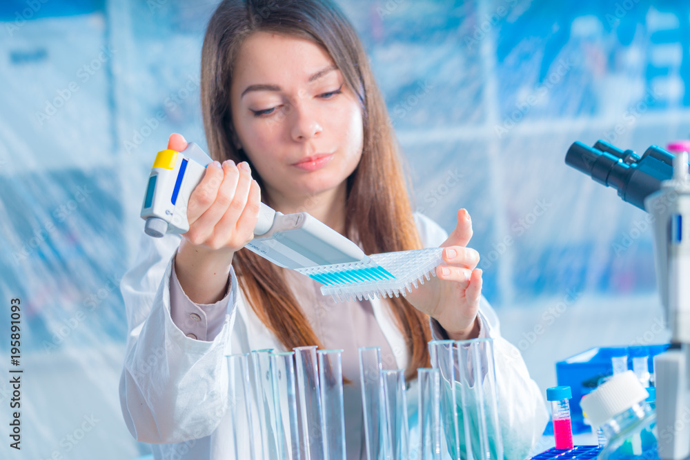 student woman with multi pipette and other PCR items in microbiological / genetic laboratory ...