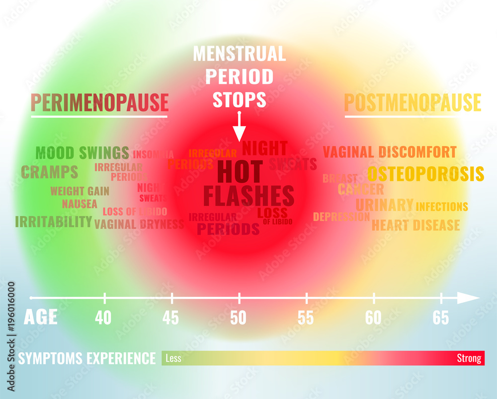 Stages of Menopause Infographic Stock Vector | Adobe Stock