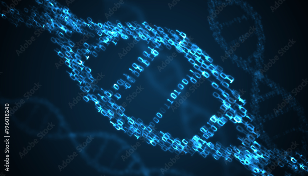 Binary Code Dna