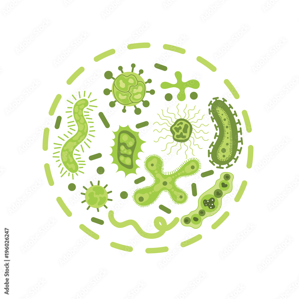 Fungi Bacteria And Viruses