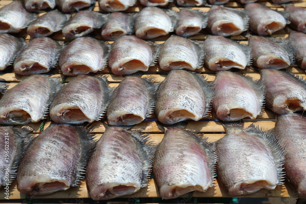 Trichogaster pectoralis,Fish is one of the most popular foods in ...