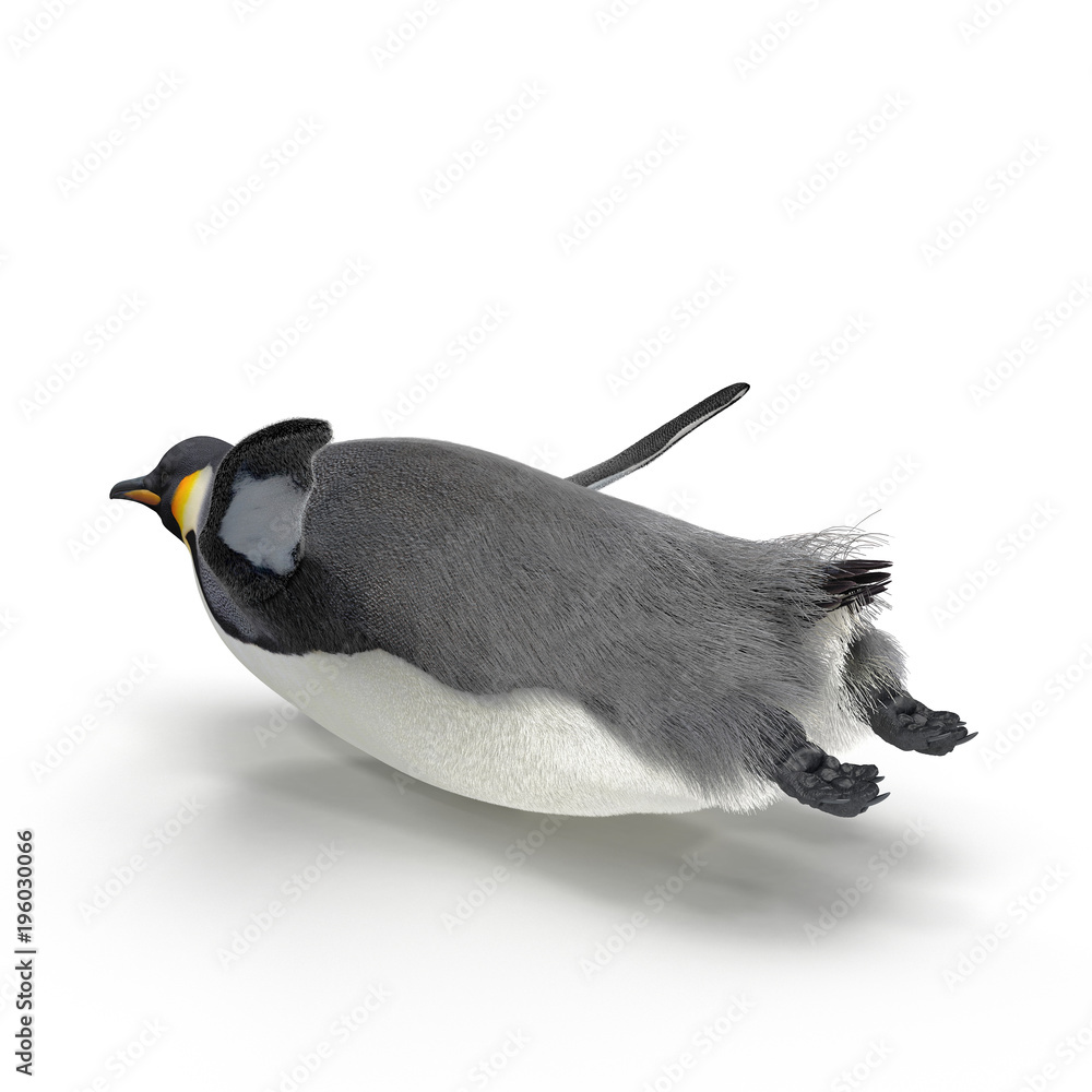 Emperor penguin sliding. isolated on white. 3D illustration Stock ...