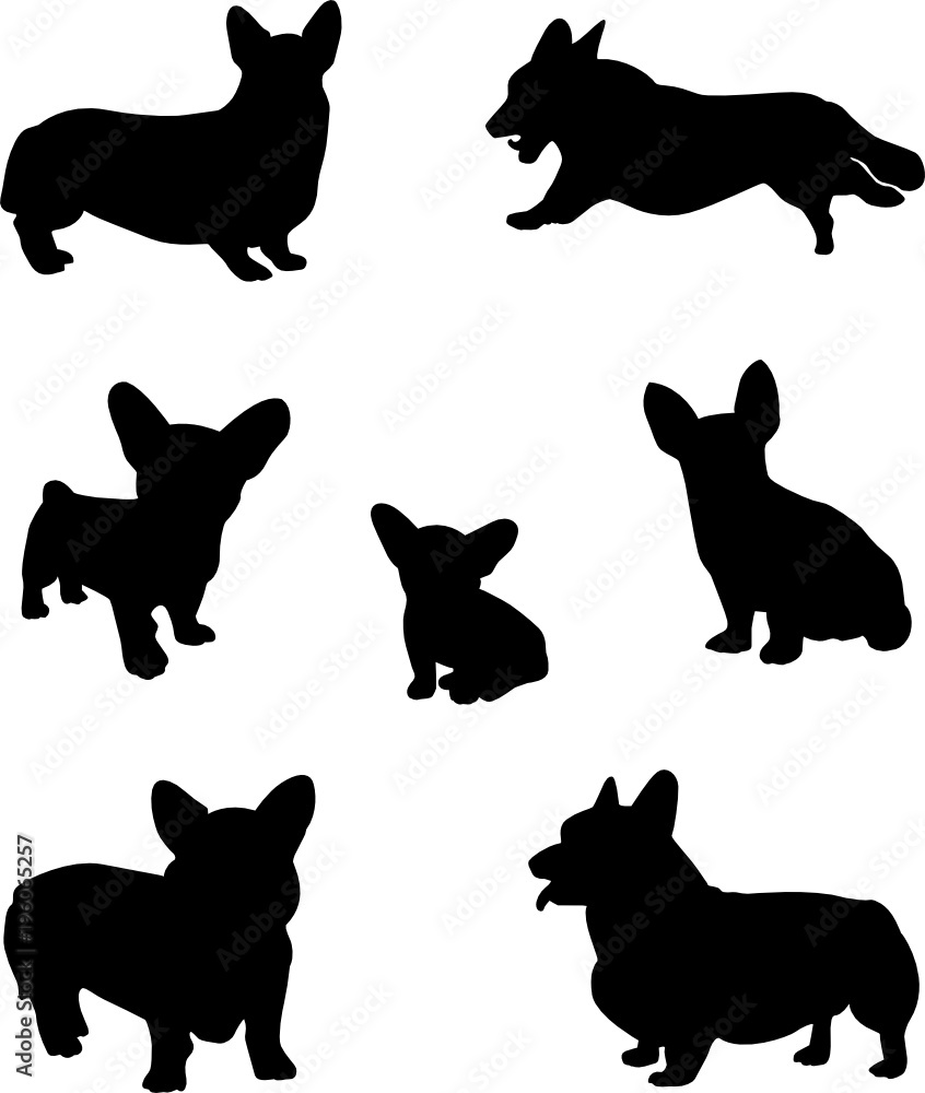 Pembroke Welsh Corgi silhouette Stock Vector | Adobe Stock
