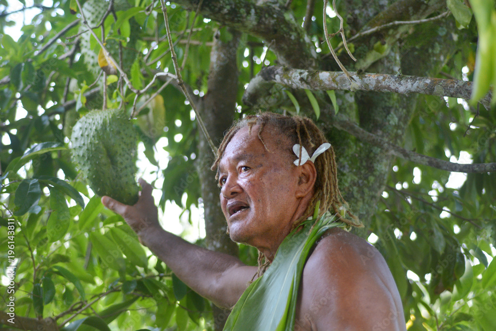 Cook Islander explains about Soursop.Fruit benefits on Eco tourism tour ...