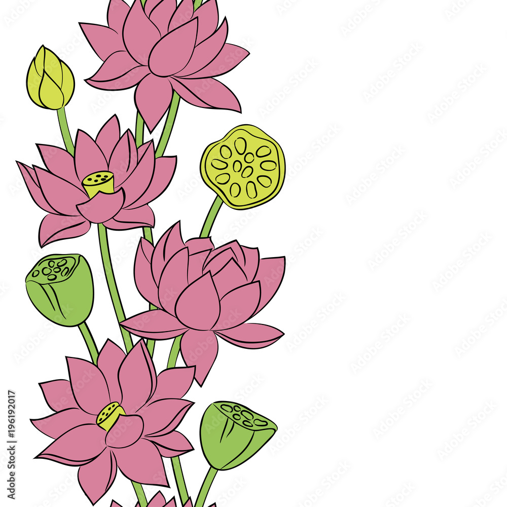Lotus Flower Drawings Color