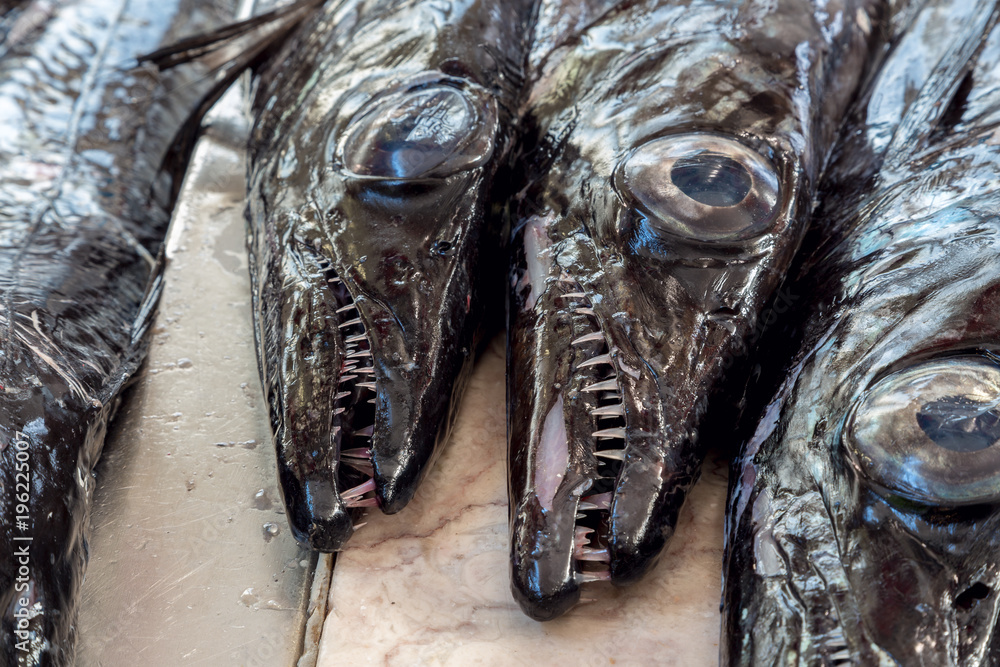 Espada preta fish of Madeira. Black scabbardfish from Atlantic ocean ...