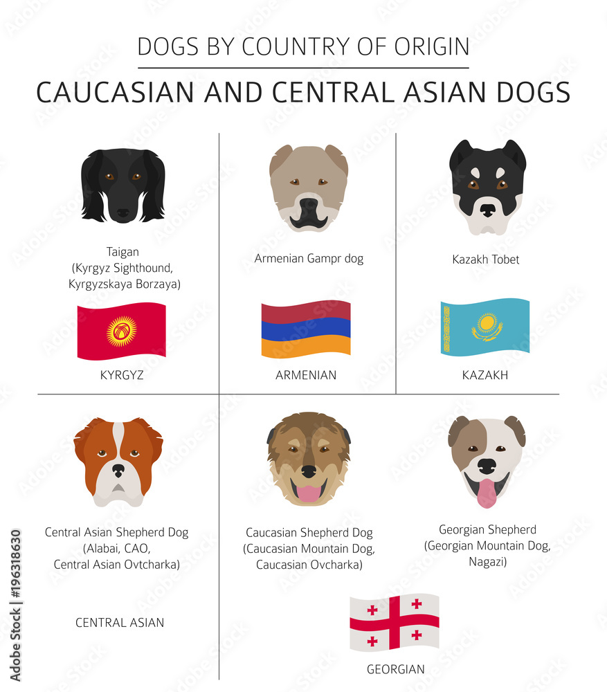 Dogs by country of origin. Caucasian and Central Asian dog breeds ...
