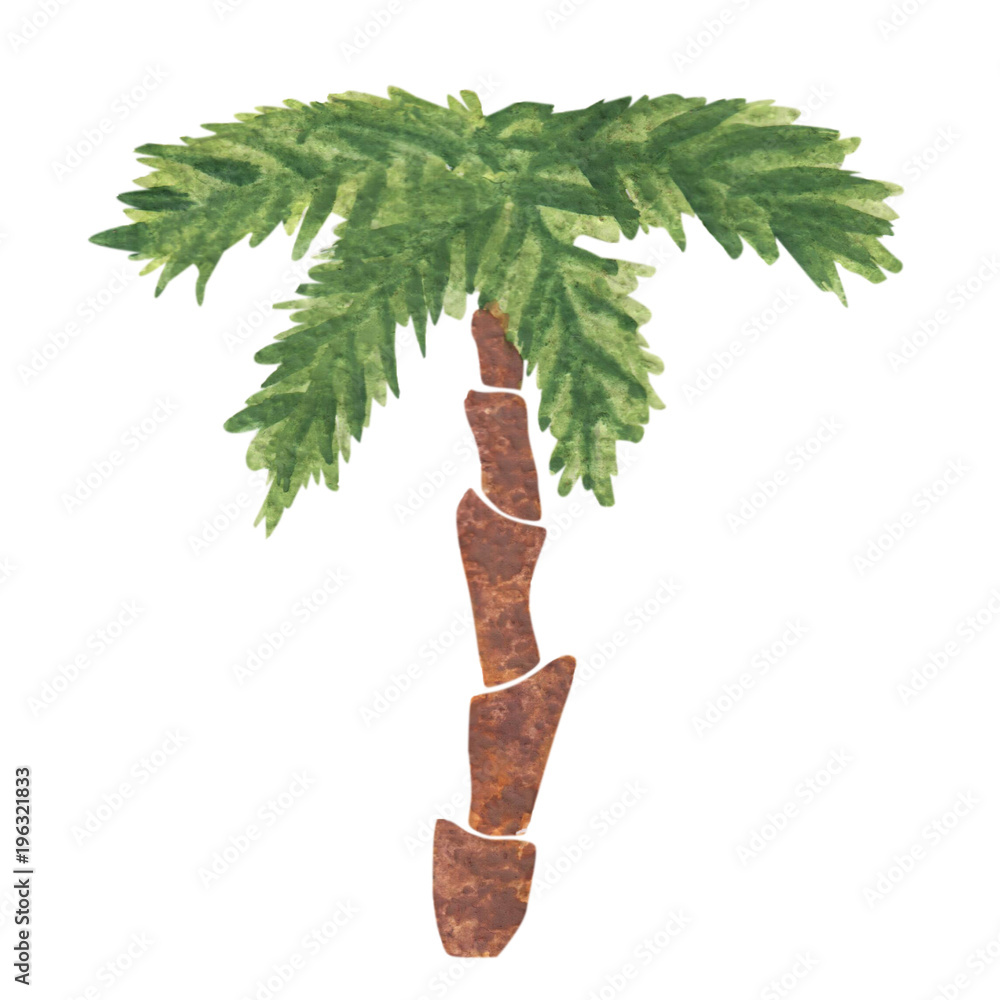 Watercolor palm tree hand painted isolated on white background Stock ...