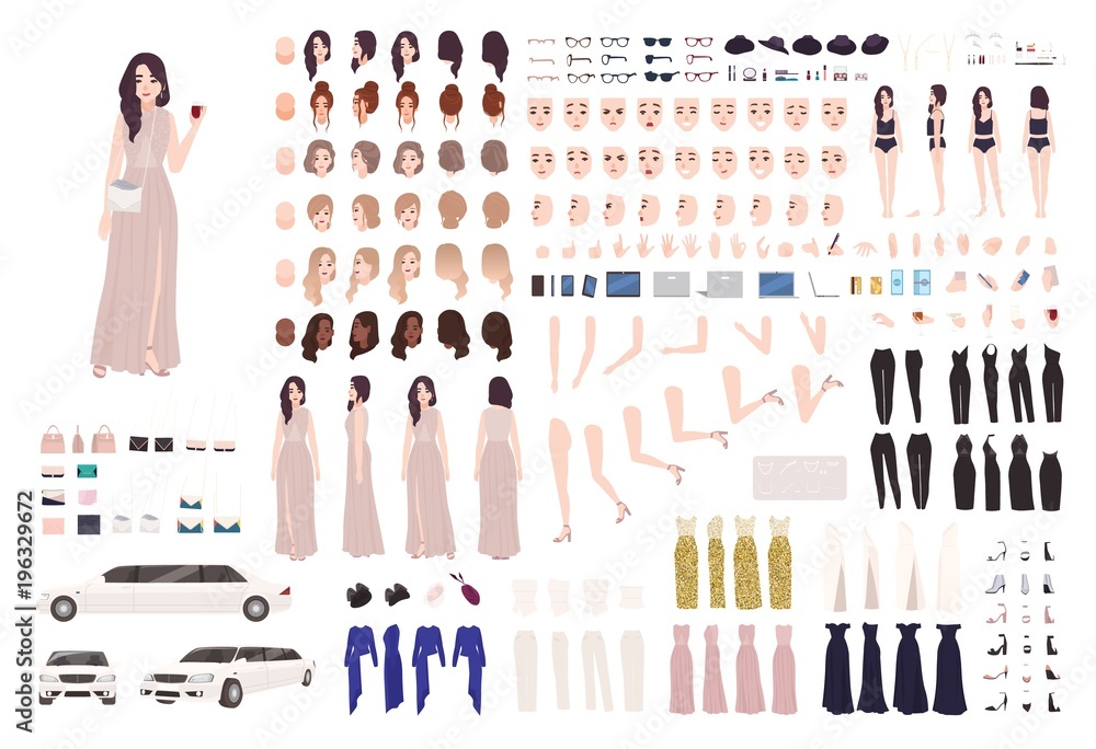 Elegant woman dressed evening prom clothing creation set or DIY kit ...
