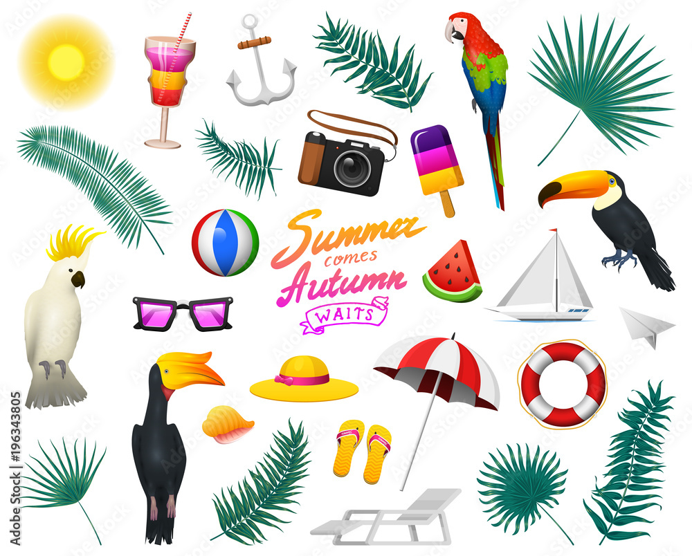 Nautical Summer set. Marine vacation on the beach. Tropical plants and ...
