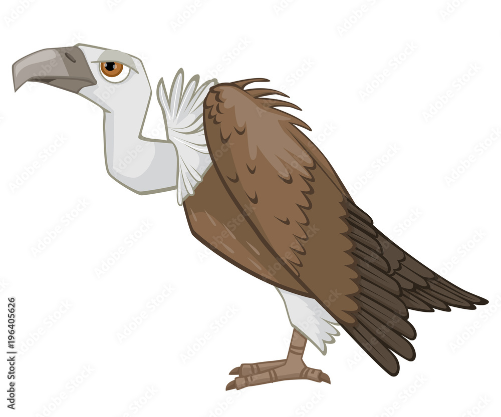 Detailed Cartoon Vulture Vector Illustration Isolated on White Stock ...